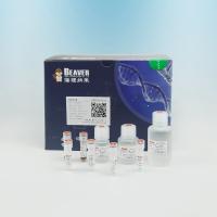 China BeaverBeads Circulating DNA Extraction Kit 0.2-5mL Serum Plasma OEM Support for sale