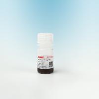 Chine La silice magnétique aminée de purification de protéine perle 500nm 10 mg/ml 50 ml à vendre
