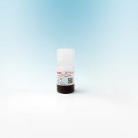 China Mag OH Silica Magnetic Beads For DNA Extraction 500nm 10 mg / mL 5 mL for sale