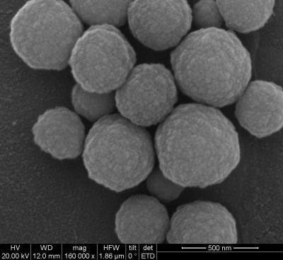 Chine Extraction Silane Magnetic Beads 500nm d'ADN 50 mg/ml 1 ml à vendre