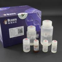 China BeaverBeads Circulating DNA Extraction Kit II - 20mL Magnetic Beads for 0.2-5mL Serum/Plasma Samples for sale