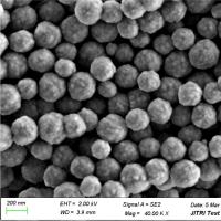 中国 300nm 50のmg/ml DNAの抽出SCのための10のmLのCarboxyl磁気ビード 販売のため