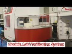 Sistema de purificación automática de ácidos nucleicos de alto rendimiento 96 canales para ADN / ARN