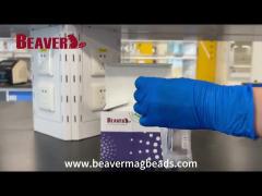 Zinken gemaakt van paramagnetisch siliciumhydroxide