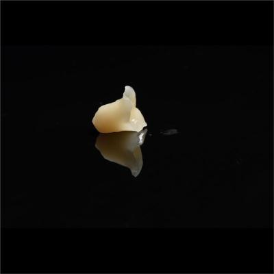 Cina Corone composite libere da metallo Infissi e infissi ponti impianti ODM in vendita