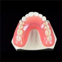 China Custom Made Acrylic Removable Partial Denture Single Tooth for sale