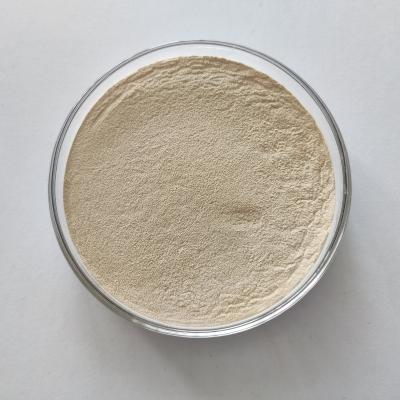Cina Enzimi per mangimi premix con enzima NSP Granulo giallo marrone per premix ad alta attività in vendita