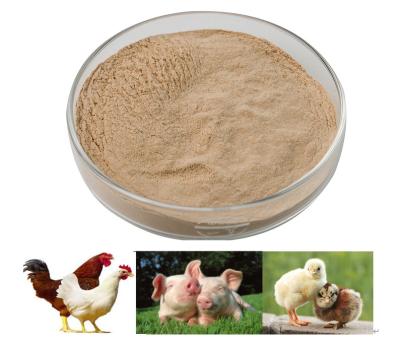 China Habio-protease-peptide-splitsend enzym voor diervoeders met een hoge stabiliteit Te koop