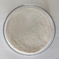 China High Quality White Protease Enzyme with High Stability for Top-notch Functionality for sale