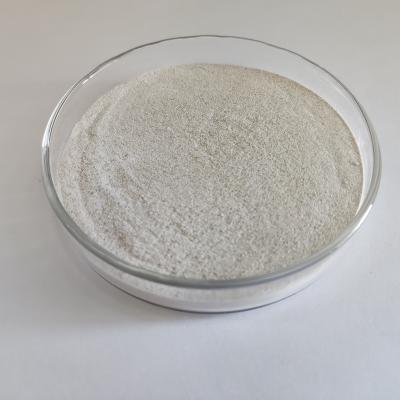 中国 200000U/G カタラース 酵素 FDA 認定 染料化前に過酸化水素を取り除く 販売のため