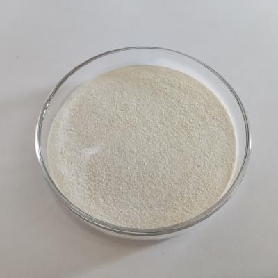 Cina Additivo per mangimi 500.000U/g Enzima cheratinasi Migliorare il tasso di utilizzo del materiale proteico nel mangime in vendita