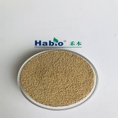 Cina Enzimi per mangimi premix con enzima NSP Granulo giallo marrone per premix ad alta attività in vendita