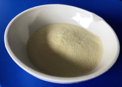 Cina Alpha Amylase termostabile in vendita