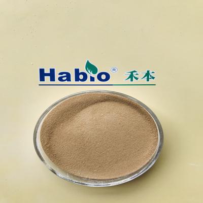 Cina Additivo alimentare animale della polvere degli enzimi di Brown Keratinase per abilità digestiva in vendita