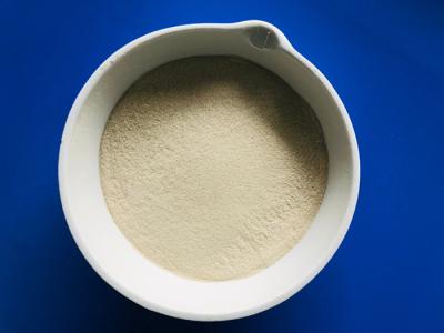 Cina 10000U/G Beta Glucanase Enzyme in vendita