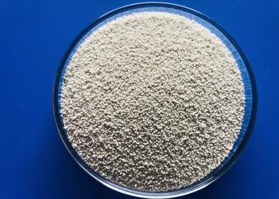 Cina 25 kg/Tambulo Imballaggio Enzima dissolvente delle proteine Sorgente Microorganismo in vendita