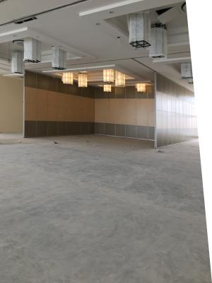 China Customized Acoustic Sliding Partition Walls For Room Management for sale
