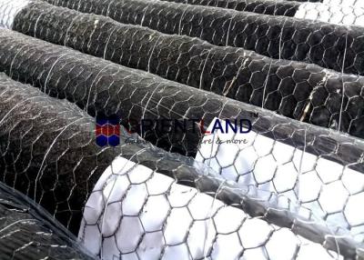 China Garden Chicken Mesh Net Rabbits Net Protect 0.2m-3m Width  chicken run roof netting for sale