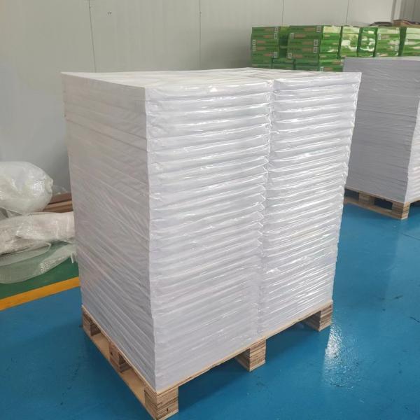 Materiali per la stampa di carte di plastica in foglio di PVC