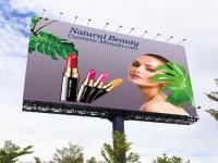 Quality 1610mm Eco Solvent Inkjet Printer 1200DPI JV200-160 Roll To Roll Printer for sale