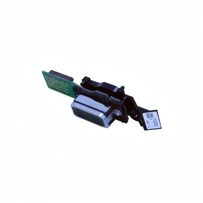 China Genuine Roland DX-4 Print Head Eco-Solvent Compatible Model 6000005213 for Roland Printers for sale