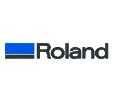 China Roland ASSY,PRINT HEAD SUPPLY WF1 SC3890 - 1000023601 for sale