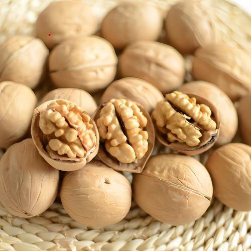 Quality Walnut Xin 2 for sale