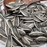 Quality Sunflower Seeds 5009 The Ultimate Snack for Health-Conscious Buyers for sale