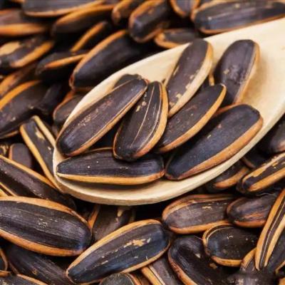 China Amazon venta caliente Proceso de fábrica Cinco especias perfumadas Peinado Caramelo hervido Salado Semillas de girasol asadas en venta