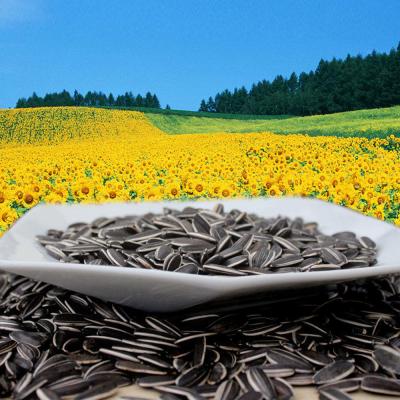China Venta al por mayor de 25 kg/bolsa de semillas de girasol de alta calidad procedentes de Mongolia Interior en China en venta