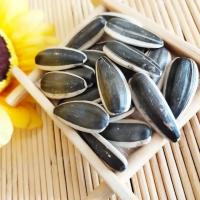 Quality Sunflower Seeds 5009 The Perfect Match for Your Customer Requirements for sale