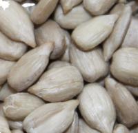 Quality Sunflower Seeds Kernel within 99.9% min. for Sunflower Kernel for sale