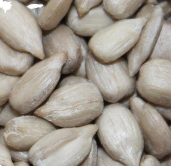 Quality Sunflower Seeds Kernel within 99.9% min. for Sunflower Kernel for sale