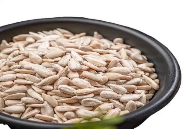 Quality Sunflower Kernel Superior Sunflower Seeds Kernel for Your Business Needs for sale