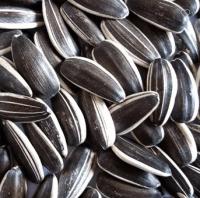 Quality Efficiently Meet Customer Requirements with Sunshine Grove Kernels for sale