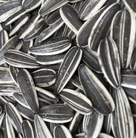Quality Sunflower Seeds S3 The Perfect Combination for B2B Requirements for sale