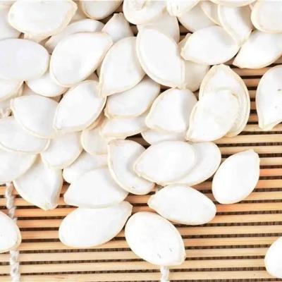 Cina I produttori vendono un gran numero di semi di zucca verde di alta qualità in massa in amazon in vendita