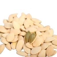 Quality Nutritious Toasted Squash Seeds for Your Customers' Taste Buds for sale