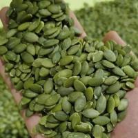 China Factory Supply Raw Processing Top Grade Non Gmo Pumpkin Kernels Seeds for sale