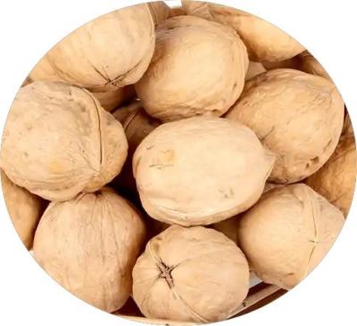 Quality Factory wholesale bulk and bag sunflower seeds Amazon’s best-selling products for sale