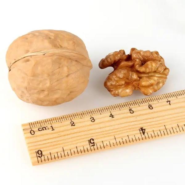 Quality Factory wholesale bulk and bag sunflower seeds Amazon’s best-selling products for sale