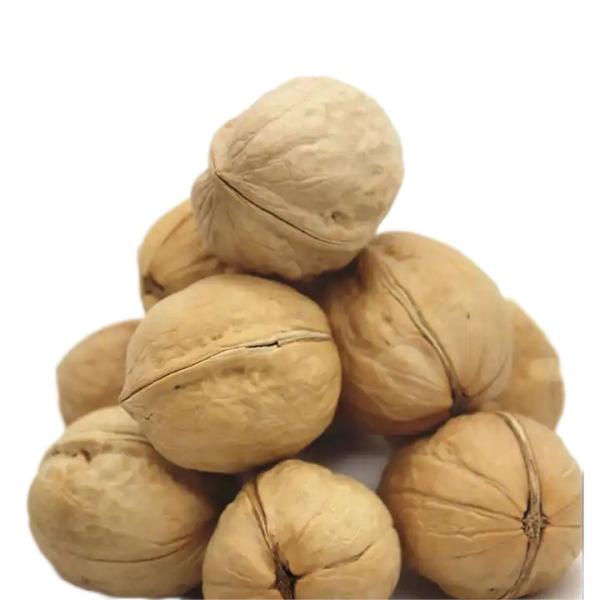 Quality Walnuts Current New Crop In shell best choice Nut, Number one quality - Packed in a 5 lbs. (80 oz.) Bag/Box for sale