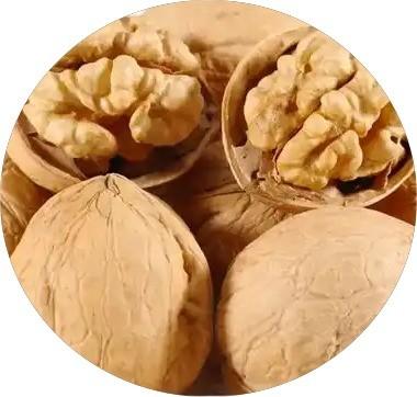 China Walnuts Current New Crop In shell best choice Nut, Number one quality - Packed in a 5 lbs. (80 oz.) Bag/Box for sale