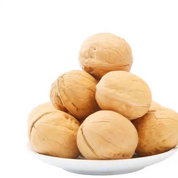 Quality China wholesale XinJiang 185 33 xiner xinfeng xingfu walnuts in shell with extra light walnut prices for sale