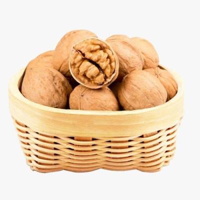 China China wholesale XinJiang 185 33 xiner xinfeng xingfu walnuts in shell with extra light walnut prices for sale