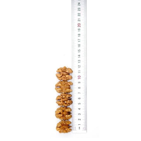 Quality China walnuts Factory Supplier Wholesale Healthy inshell Organic walnuts Food for sale