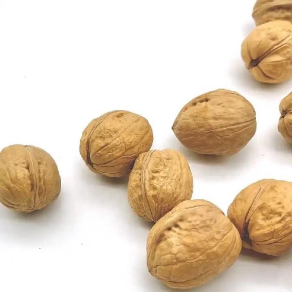 Quality China walnuts Factory Supplier Wholesale Healthy inshell Organic walnuts Food for sale