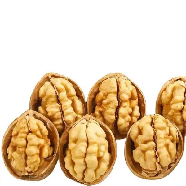 Quality China walnuts Factory Supplier Wholesale Healthy inshell Organic walnuts Food for sale