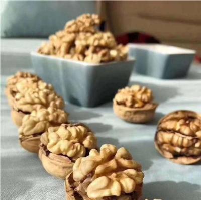 China Hot selling premium walnuts and walnut kernels both support customized packaging Amazon’s best-selling products for sale