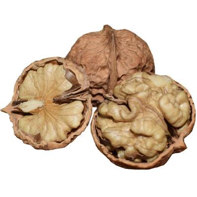 China Amazon hot sale Factory Directly Xinjiang walnut xin2 walnut kernel export Russia OEM ODM for sale